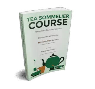 14 Best Teas To Drink Without Milk! a Helpful Guide