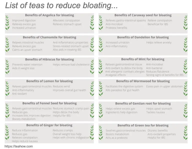 12 Best Teas to Reduce Bloating, and How Each One Helps, a Guide
